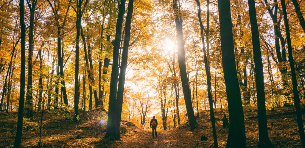 Home | Rutherford & Johnson, P.C.