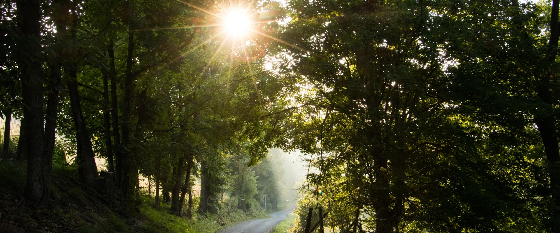 Home | Rutherford & Johnson, P.C.